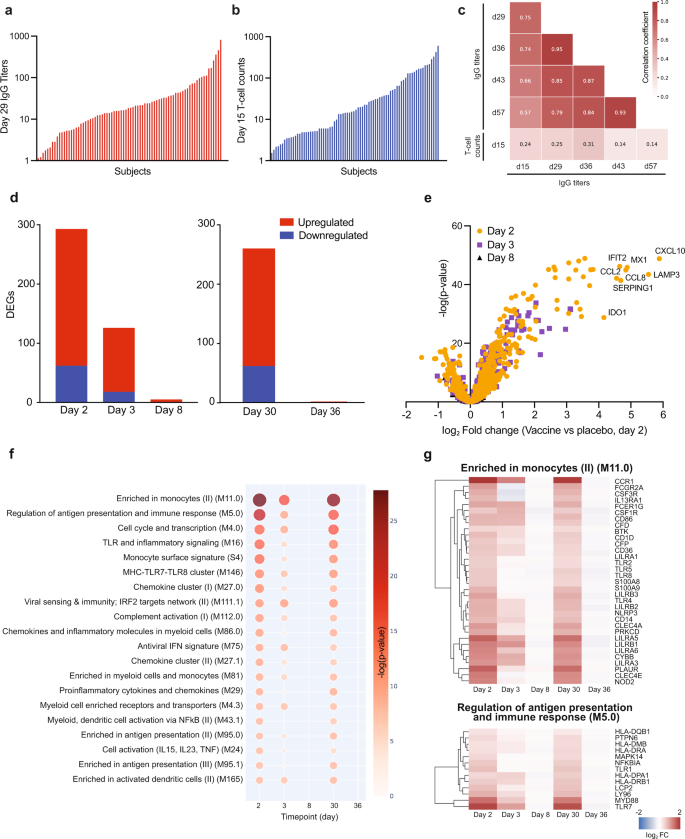 Immune gene expression analysis indicates the potential of a self ...