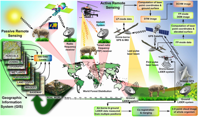 Western Conservation Technologies | by Salma Akhtar | Oct, 2024 | Medium
