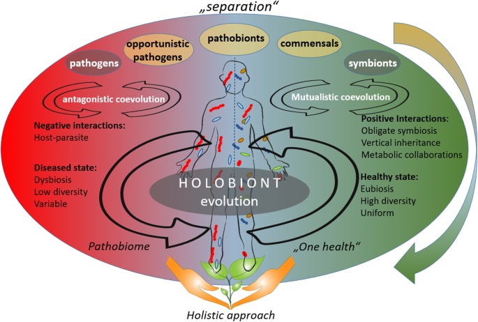 Microbes 101. An introduction to microbial… | by Nita Jain | Medical ...
