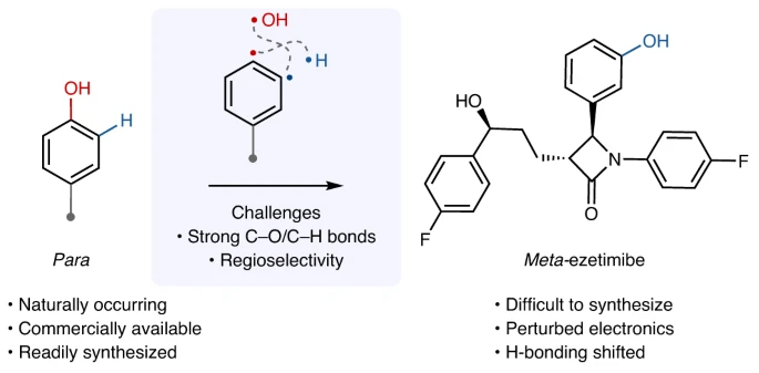 A Para- to Meta-Isomerization of Phenols | by Chemistry Master | Apr ...