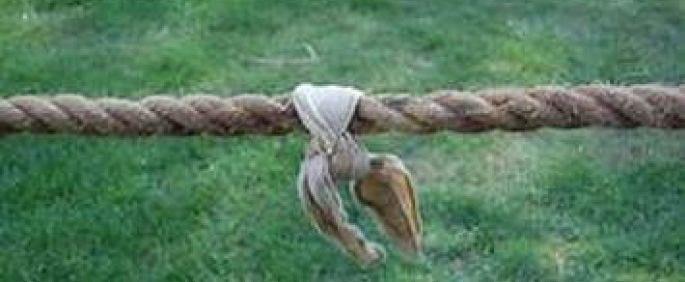 The benefit of ’meeting in the middle’ of all social change ...