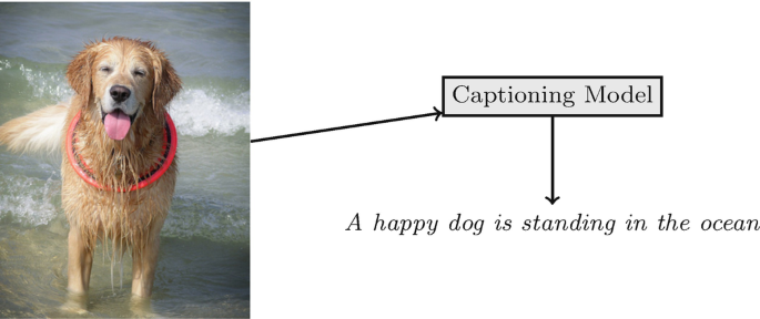 5 Models To Use For Image Captioning Task | by Eman Elrefai | MLearning ...