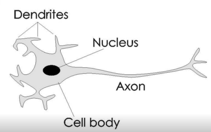 Deep Learning Using Keras In Order To Understand Dl We Should Be