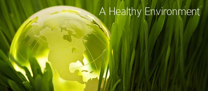 Green Pest Control Guide. Among all available pest control… | by ...