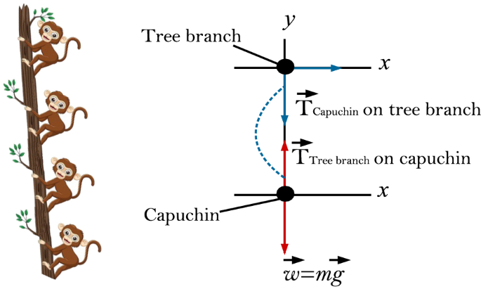 Navigating the Optimization Jungle: The Monkey Search Algorithm | by Everton Gomede, PhD ...