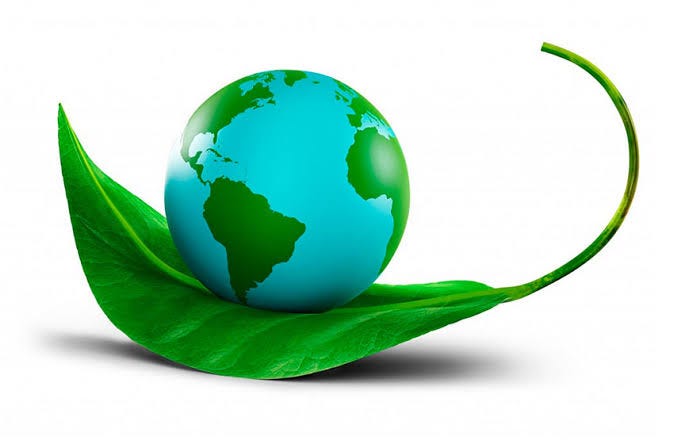 The Single Most Important Thing You Need To Know About ENVIRONMENTAL ...