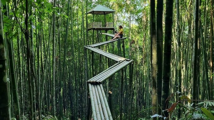 The Wildling. “The Wilding” is a low budget 2018… | by Julie Ann ...