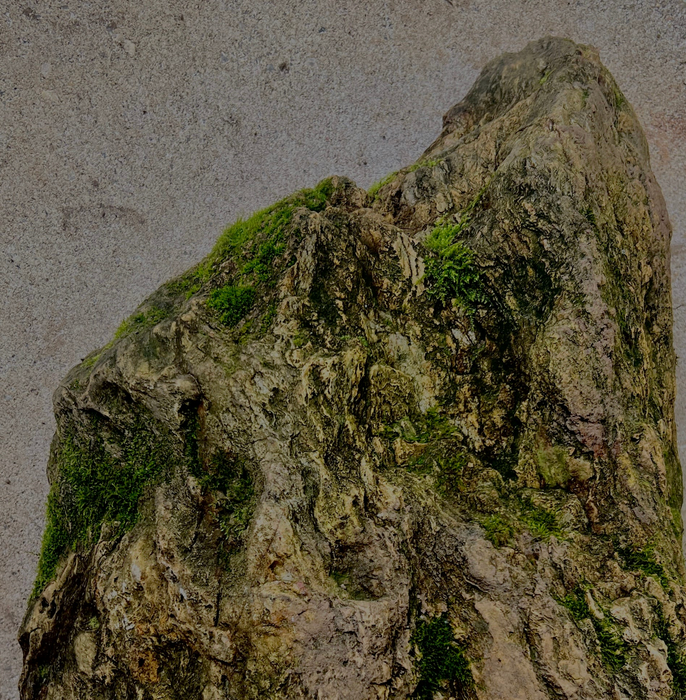 Book of Rocks, pt 3. Zen Lessons 2025 7 2 | by Peter J. Ryan Sabom Nim ...