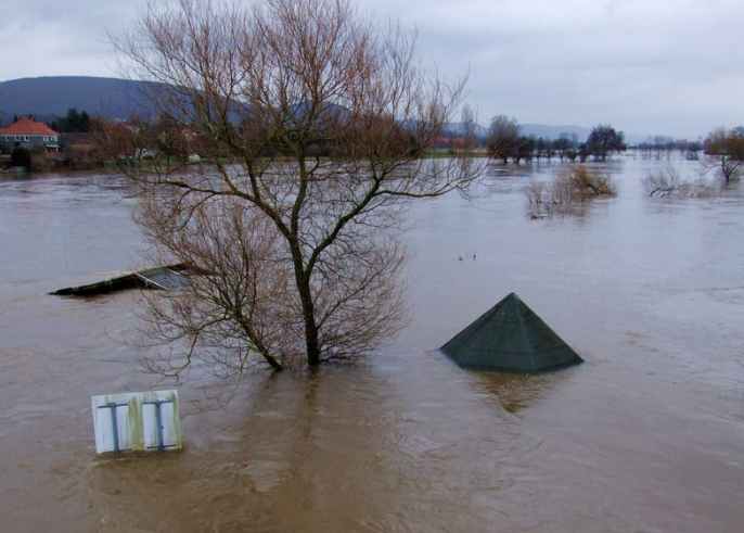 NLP for Disaster Response: Leveraging Social Media for Real-time Natural Disaster Classification ...