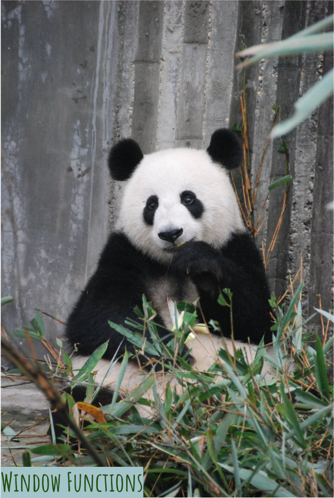 Ultimate Pandas Guide — Window Functions | by Skyler Dale | TDS Archive ...