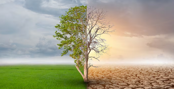 Top Investment Ideas for 2025–2026: Navigating the Next Market Cycle ...