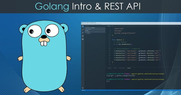 Golang: API’s. Construindo e consumindo uma API com Go | by Hugo Habbema | Medium