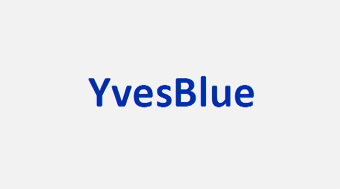 Our investment in YvesBlue — the true picture of a company made clear ...