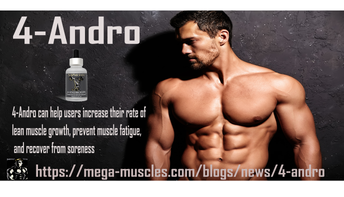 4-Andro. WHAT IS 4-ANDRO | by Delphine Brekke | Medium