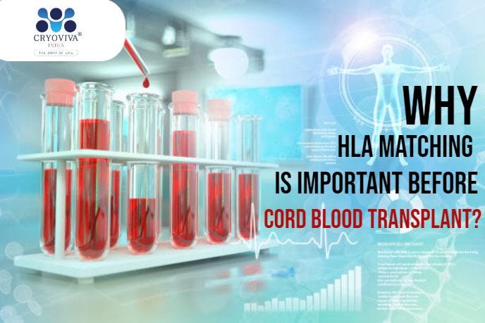Why HLA Matching is Important Before Cord Blood Transplant? | by Avani Singh | Mar, 2024 | Medium
