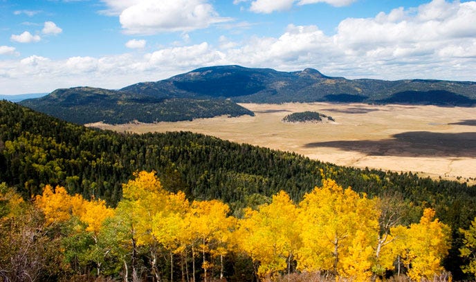 Why create new national parks?. It’s good for conservation, not just us ...