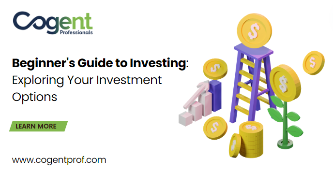 Beginner’s Guide to Investing: Exploring Your Investment Options | by ...