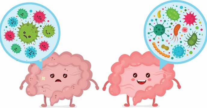 The Root Of Your Health… Microbiome! | by Sofia Alherani | May, 2024 ...