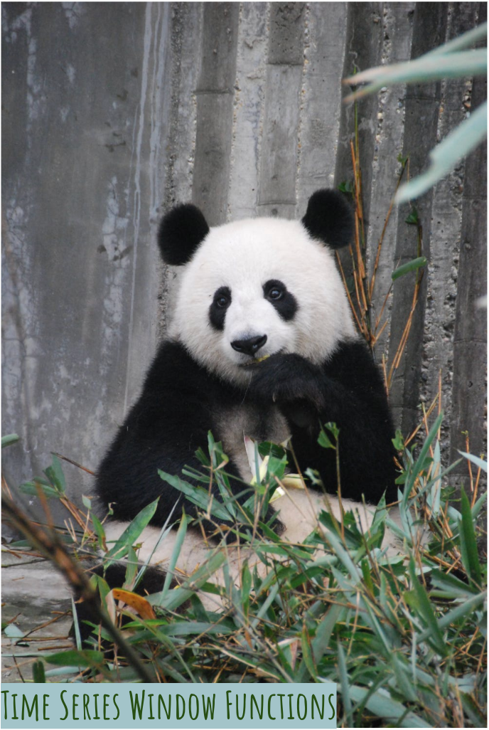 Ultimate Pandas Guide: Time Series Window Functions | by Skyler Dale ...