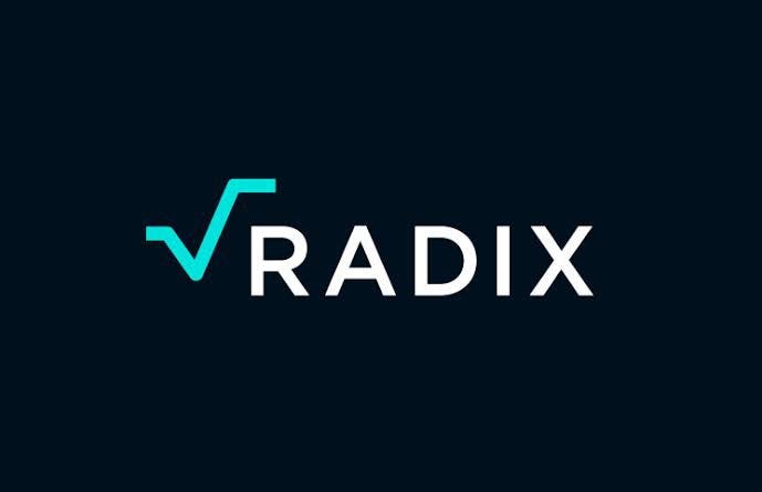 RADIX COMPONENT CATALOG. Radix DLT is a distributed Layer 1… | by ...