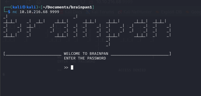 THM — Brainpan 1 (Walkthrough). 1st Step — Scan the machine with nmap: | by Bernardo Mioludo ...