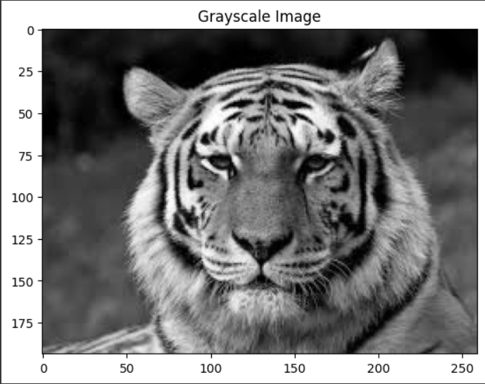 Converting an RGB Image to a Grayscale Image | by Vinayak Kattimani | Medium