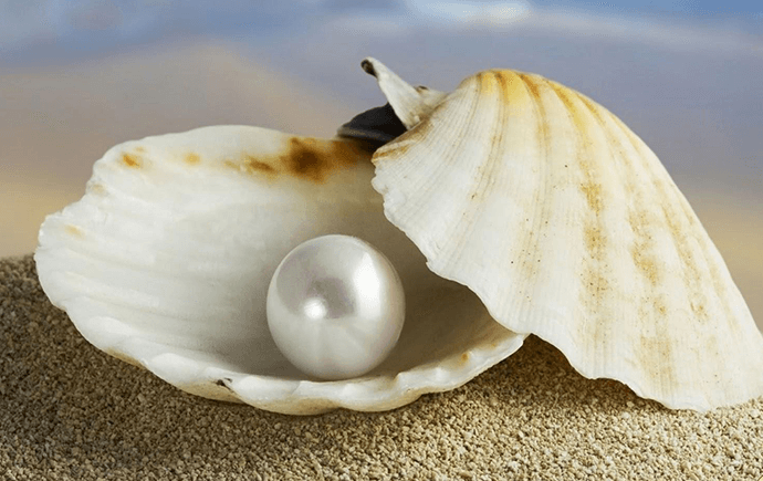 9 Things That You Must Know Before Buying Pearl Jewellery | by SaleBhai ...