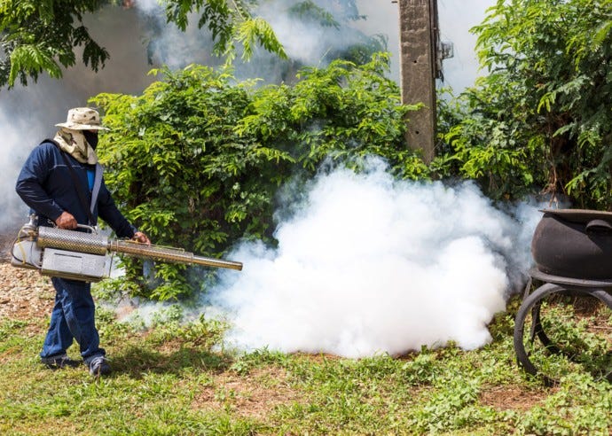 How To Hire A Cost Effective Pest Control Company That You Can Trust ...