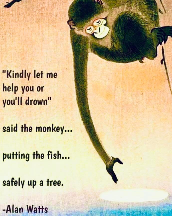 The Fish Out of Water: What a Monkey, a Windmill, and My Son Taught Me ...
