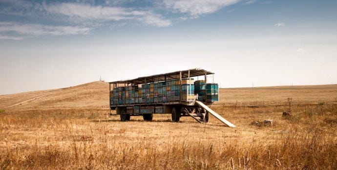 How to do Shipping Internationally: Everything one must know to deliver ...