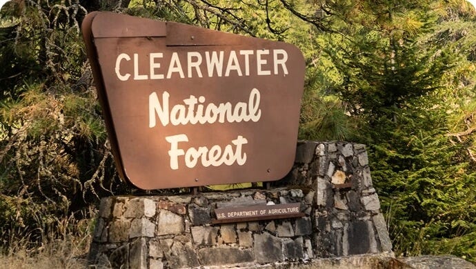 What Is a Monument Sign? Importance and Styles | by envisionorlando ...