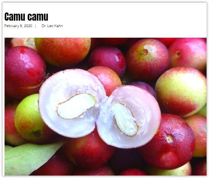 Camu camu. Wild fruit of scientific name Myrciaria… | by dr.leo kahn ...