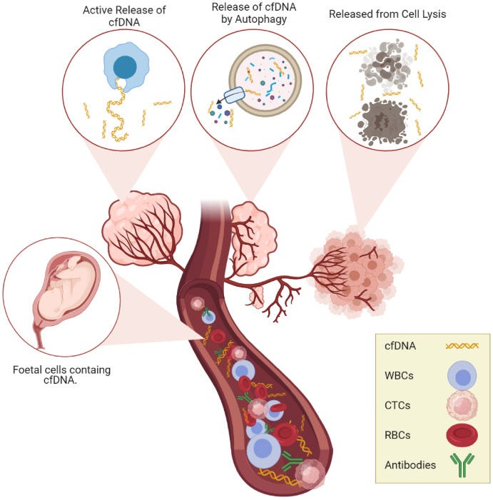 Beyond the Shadows of Medical Imaging: How Circulating Tumor DNA Is ...