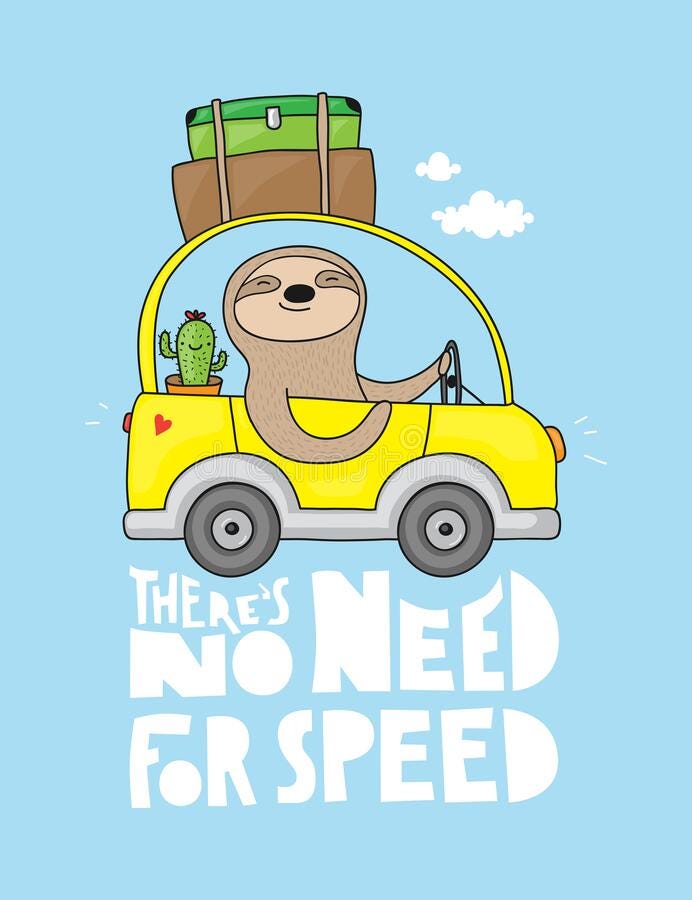 Those Who Drive Slow.. There must be a name for those who… | by Michael ...