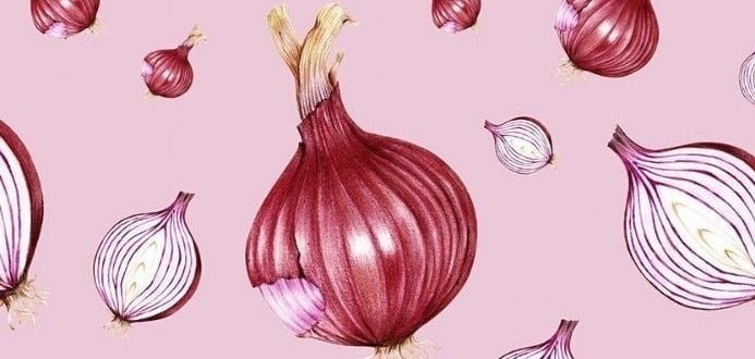 Il caso della Cipolla Egiziana Ligure, una storia di biodiversità. | by ...