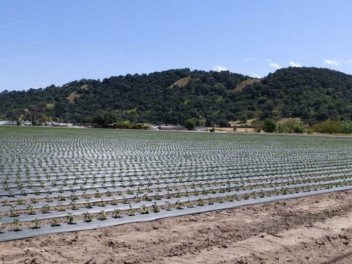 Farming at the Edge of San Jose Is Alive and Well | by Protect Coyote ...