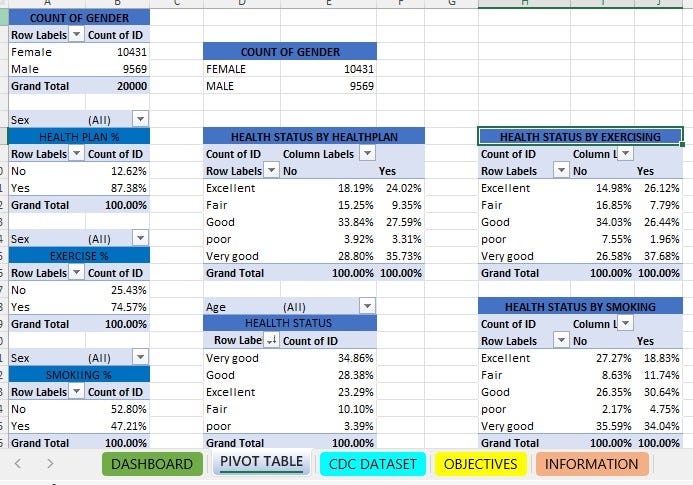 Data Analysis Project using Excel (Portfolio) | by Zainab Ndaguye | Feb, 2025 | Medium