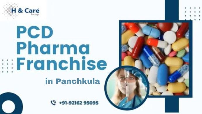 Best PCD Pharma Franchise in Panchkula - Hcareindia - Medium