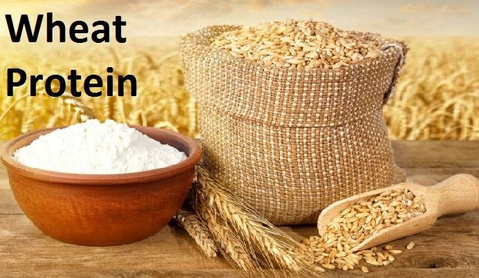 Wheat Proteins(Wheat Gluten) Market Research Analysis on Size, Share ...