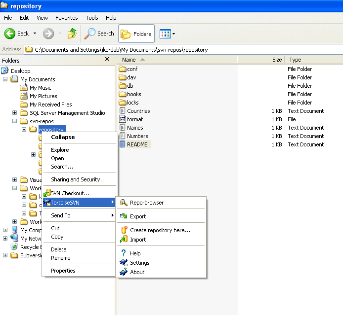 INSTALLING SUBVERSION ON LAN. Testing Subversion client TortoiseSVN ...
