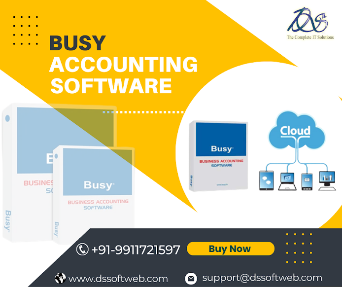 Best Busy Accounting Software Services :- - Ds Software & Web Solutions ...