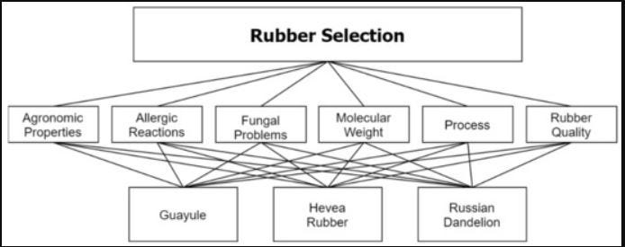 Sustainable Rubber Sourcing-A Growing Trend in Business - Toddkassal ...