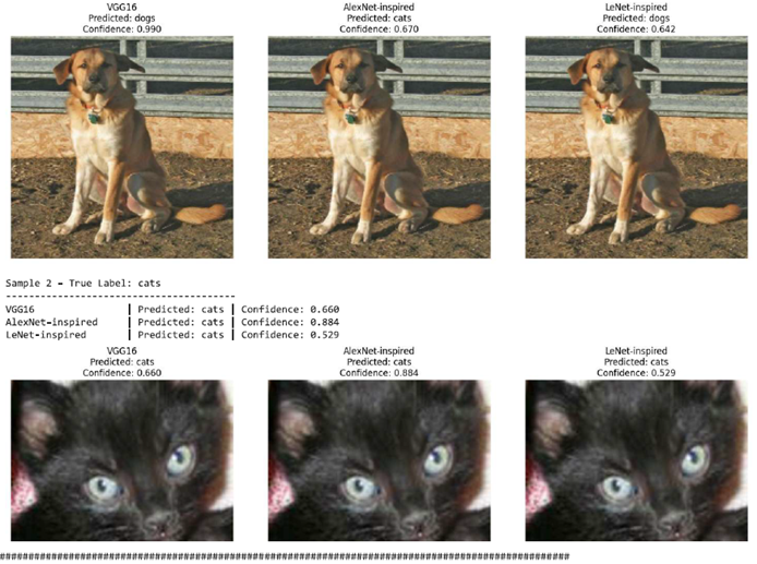 Model Fine Tuning — Part 1. In the domain of deep learning, we… | by ...