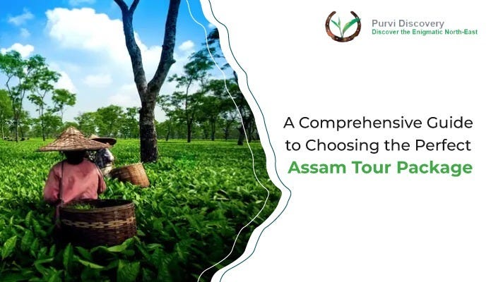 A Comprehensive Guide To Choosing The Perfect Assam Tour Package ...