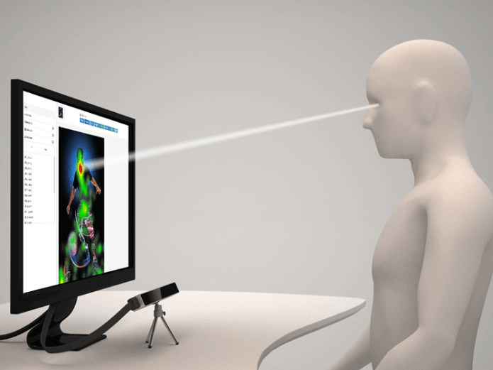 Eye Movements and Pupil Dynamics: Unveiling the Windows to Cognitive ...