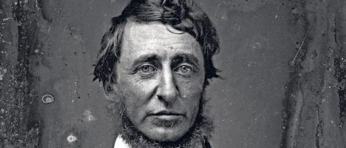 Thoreau’s Secret to Success. We are all looking for the secret of… | by ...