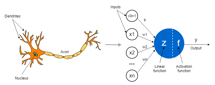 Getting into Deep Learning. What is deep learning ? | by Parekhdhruvish ...