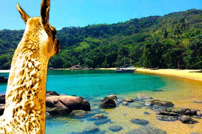 Discover a New Side of Brazilian Beaches — A South East Brazil Tour ...
