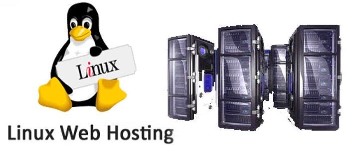 HISTORY OF LINUX WEB HOSTING. Linux web hosting is the operating… | by ...