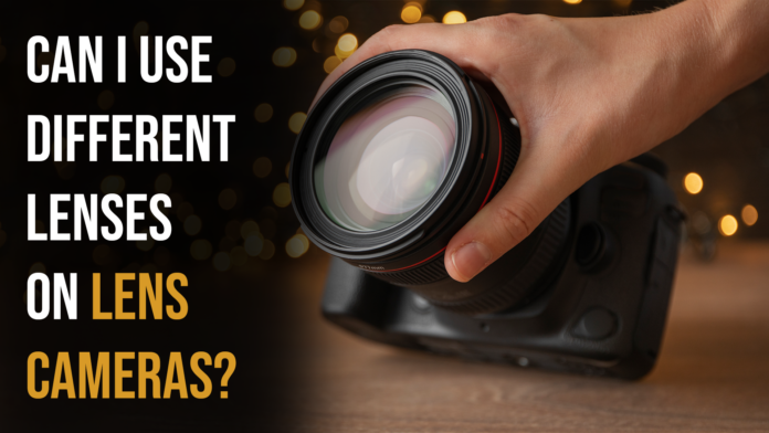 Can I Use Different Lenses on Lens Cameras? | by M Waseem | Mar, 2024 ...
